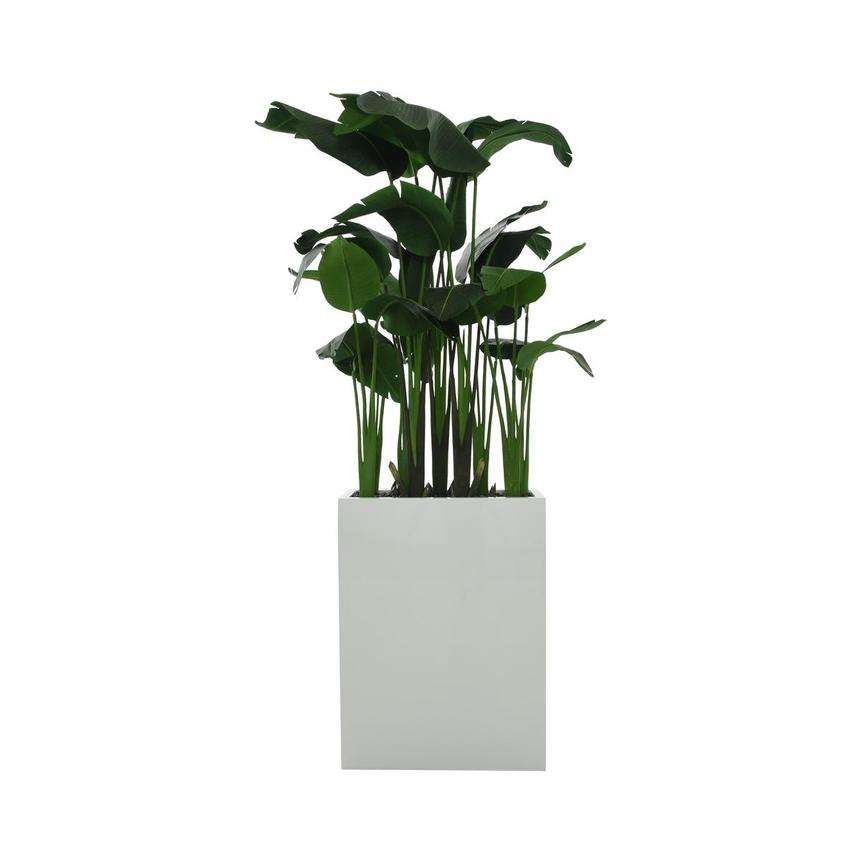 Kalei Planter | El Dorado Furniture